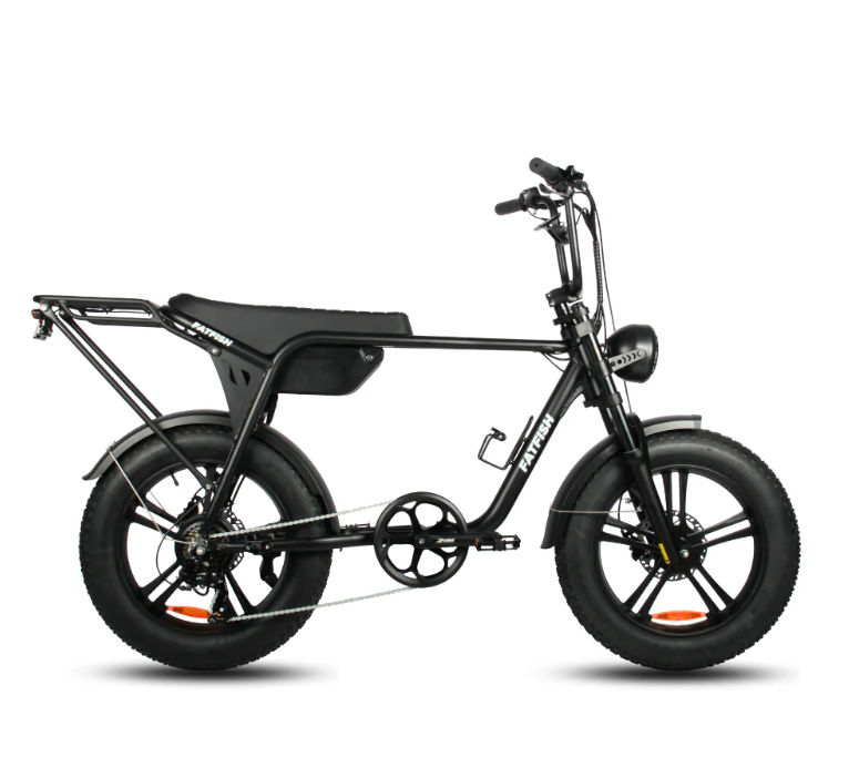 Fatfish Biggie 20AH Fat Tyre E-Bike – The Electric Bike Company