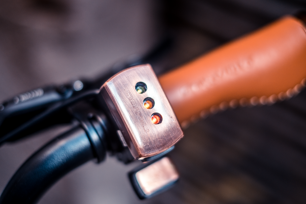 Rayvolt Cruzer Green POWER Hub (250/1000W) 21 a/h battery – The ...